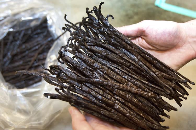 Archer Daniels Midland to acquire Rodelle vanilla company – BizWest